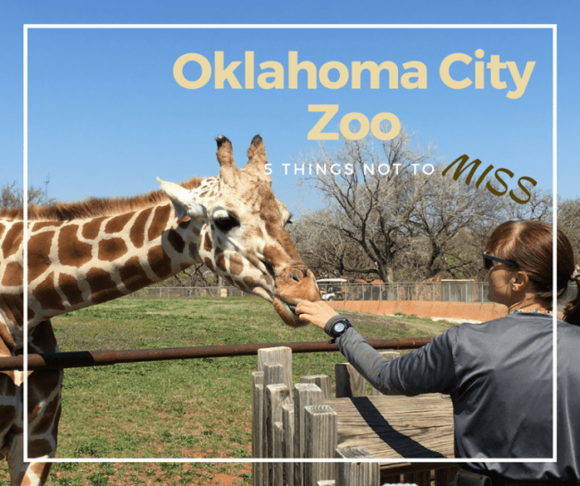 5 Things Not to Miss at the Oklahoma City Zoo